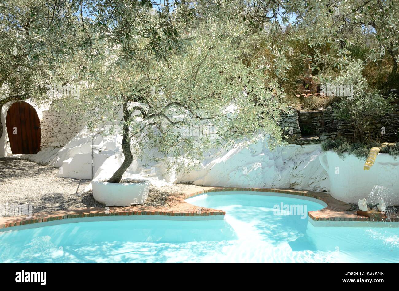 Olive Tree Swimming Pool High Resolution Stock Photography and Images ...