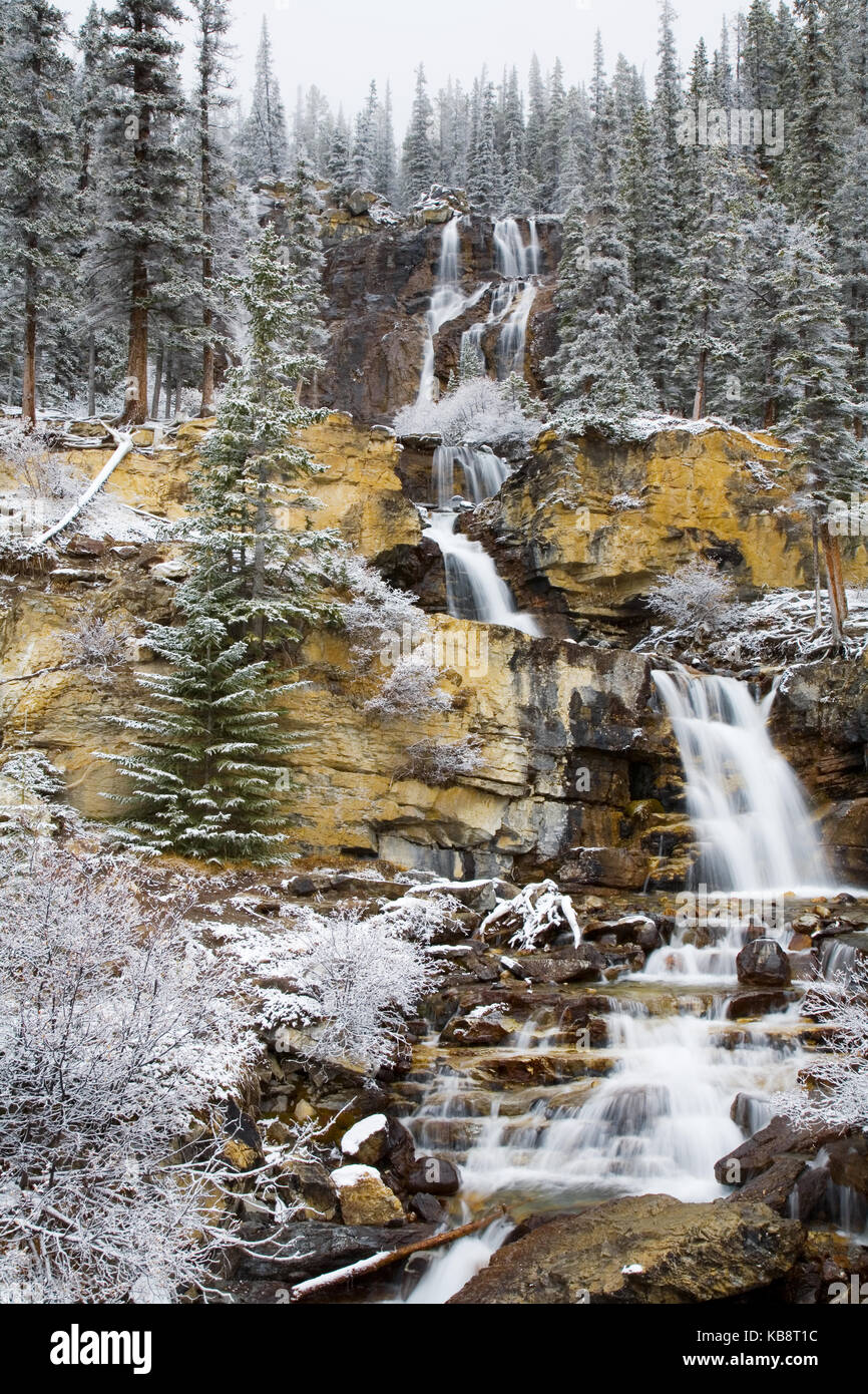 Tangle Creek Falls In Jasper National Park High Resolution Stock ...