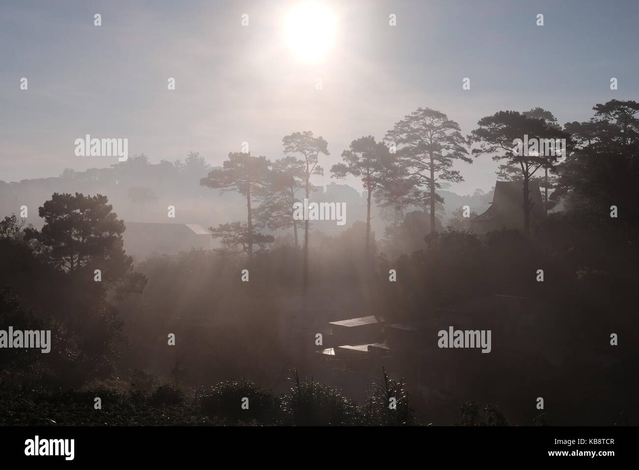 Landscape of mountains at sunrise in Dalat Vietnam Stock Photo - Alamy