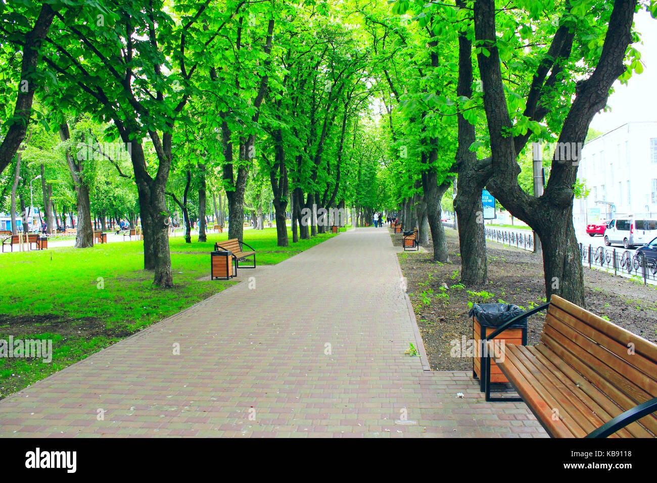 beautiful city park with nice promenade path benches and big green ...