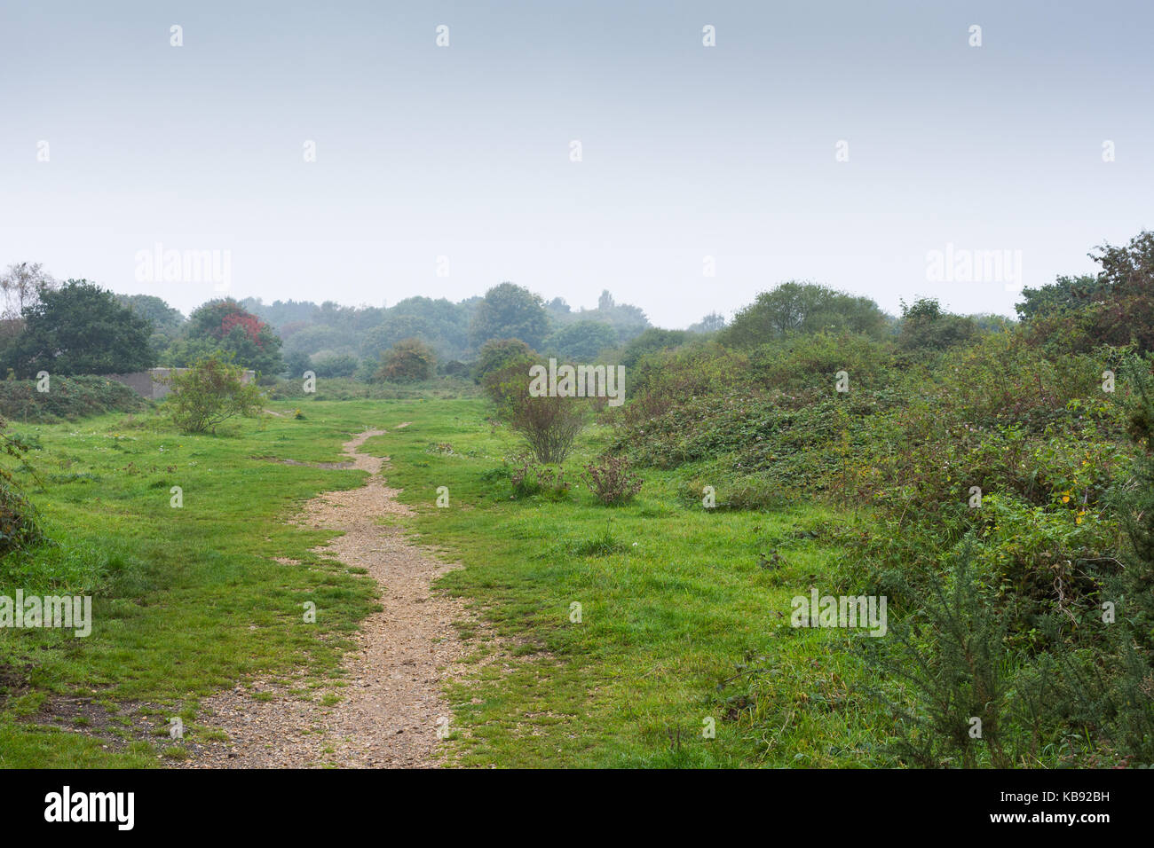 Pathway leading through common land on Turbary Common Local Nature ...