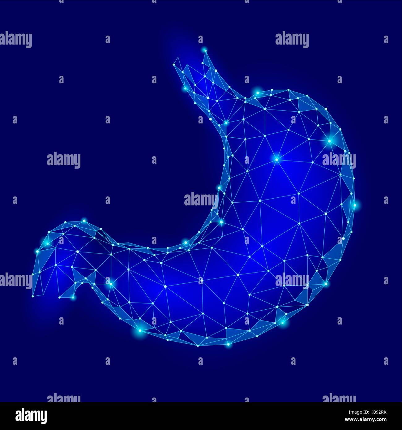 Human healthy stomach. Internal digestion organ. Low poly connected ...