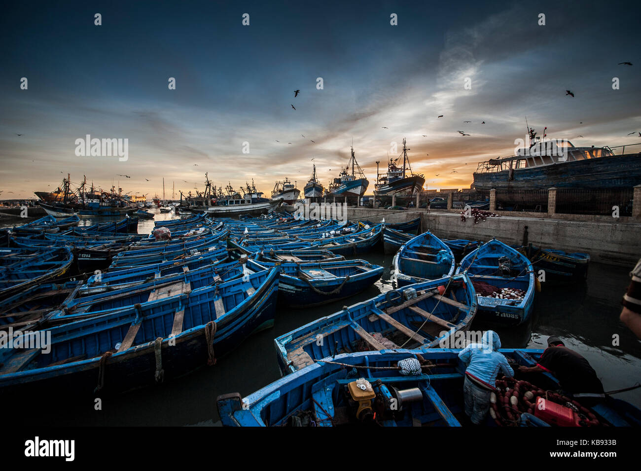 Blue boats in the port of Essaouira, Morocco Stock Photo - Alamy