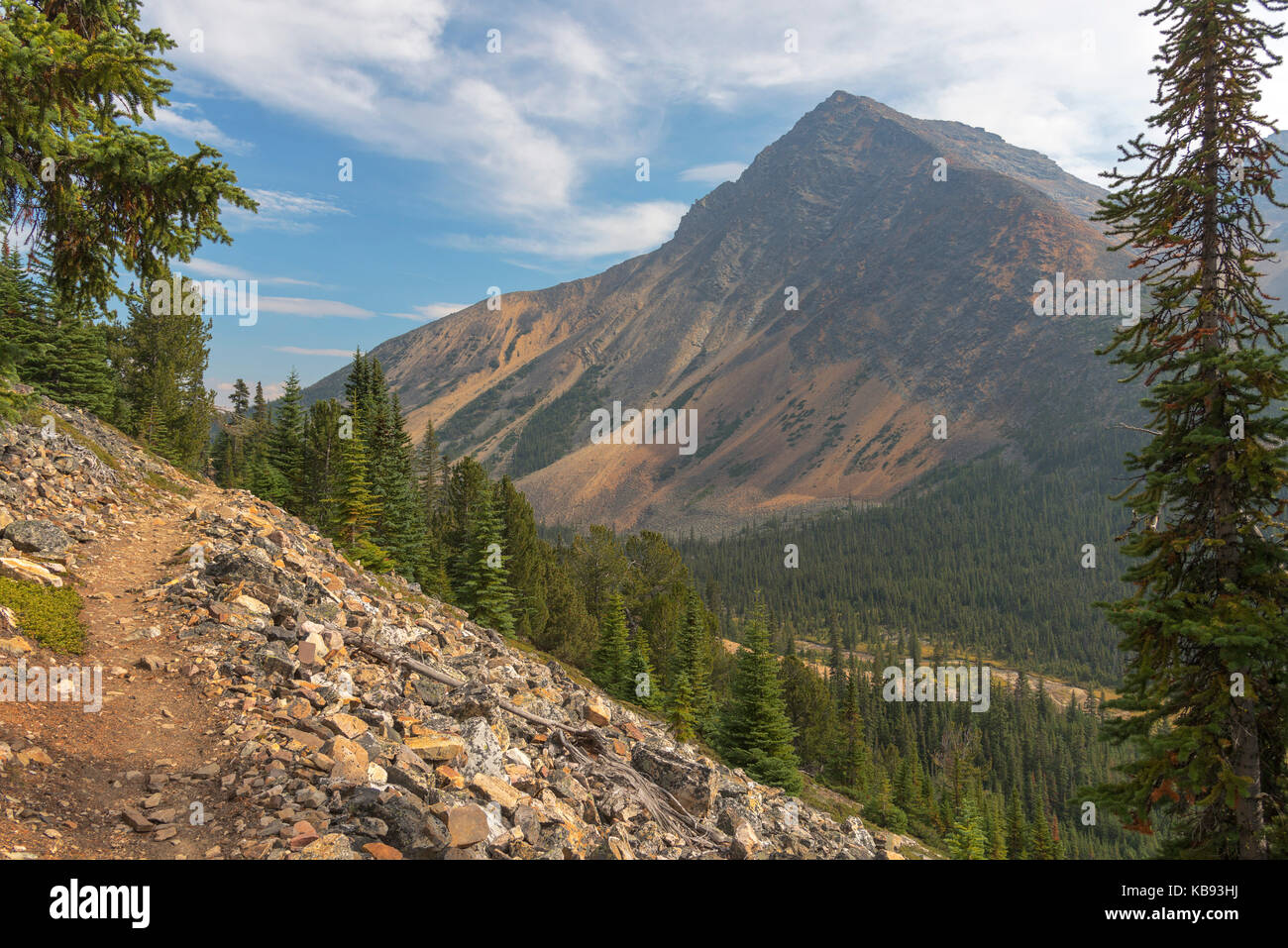 Jasper canada landscape forest hi-res stock photography and images - Alamy