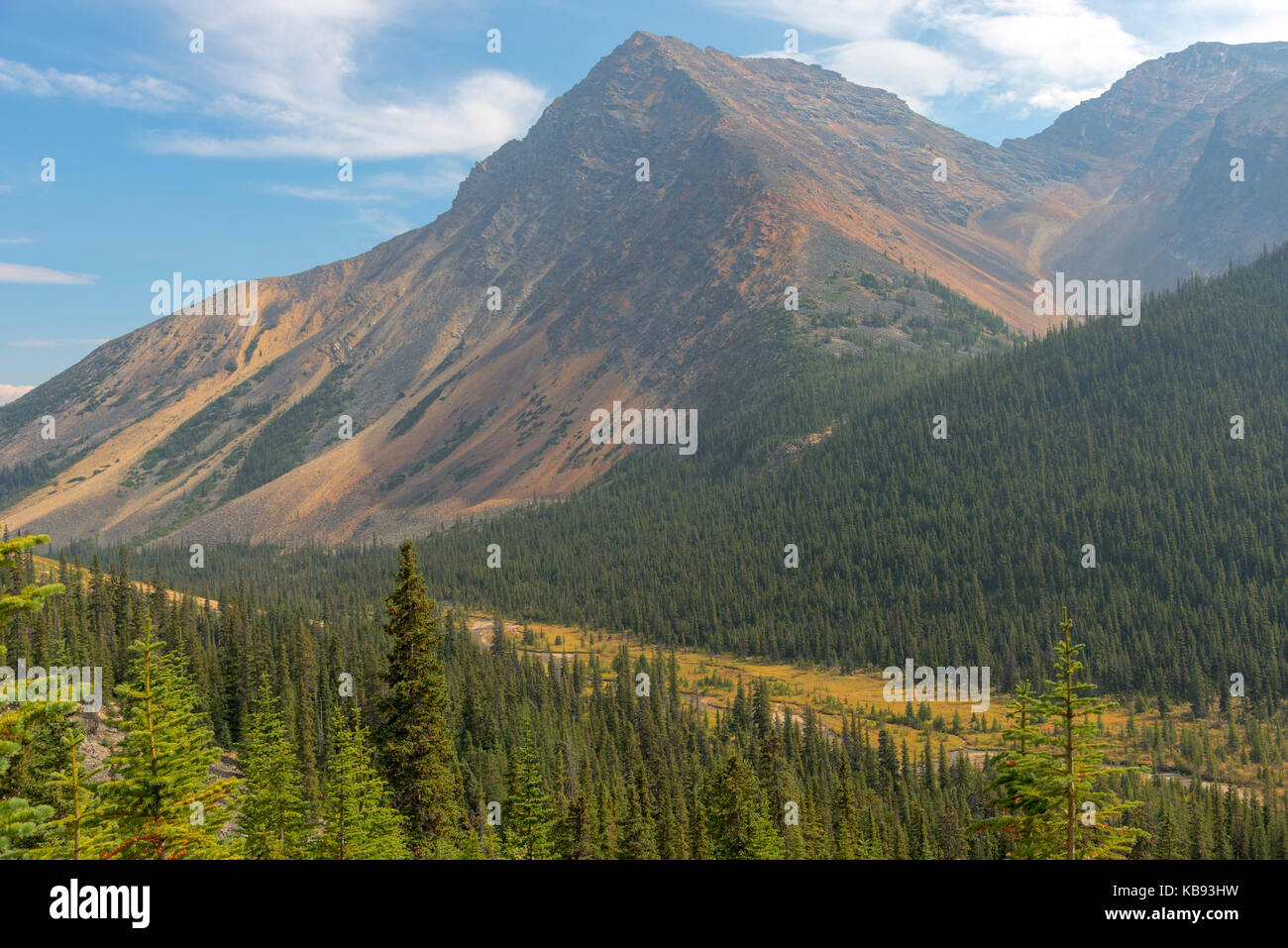 View of the Rockies on the Tonquin Trail in Jasper Stock Photo - Alamy