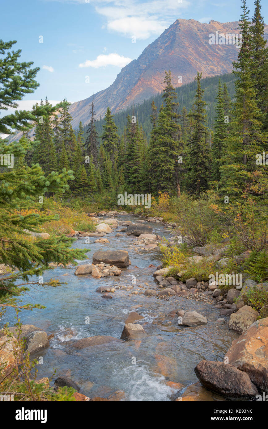 View of Lectern Mountain on the Tonquin Trail in Jasper Stock Photo - Alamy
