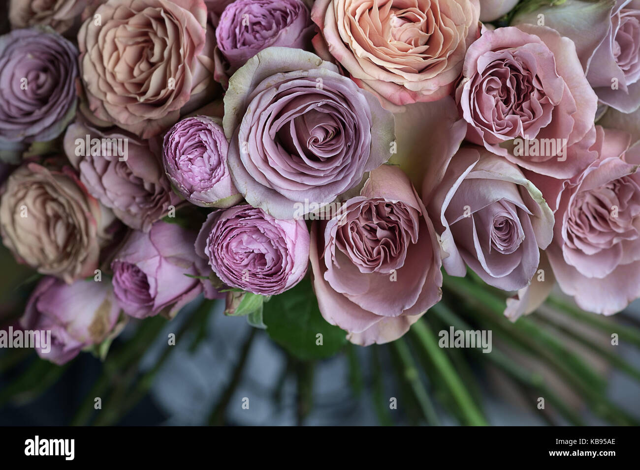Pink, violet and peach roses bouquet closeup Stock Photo - Alamy