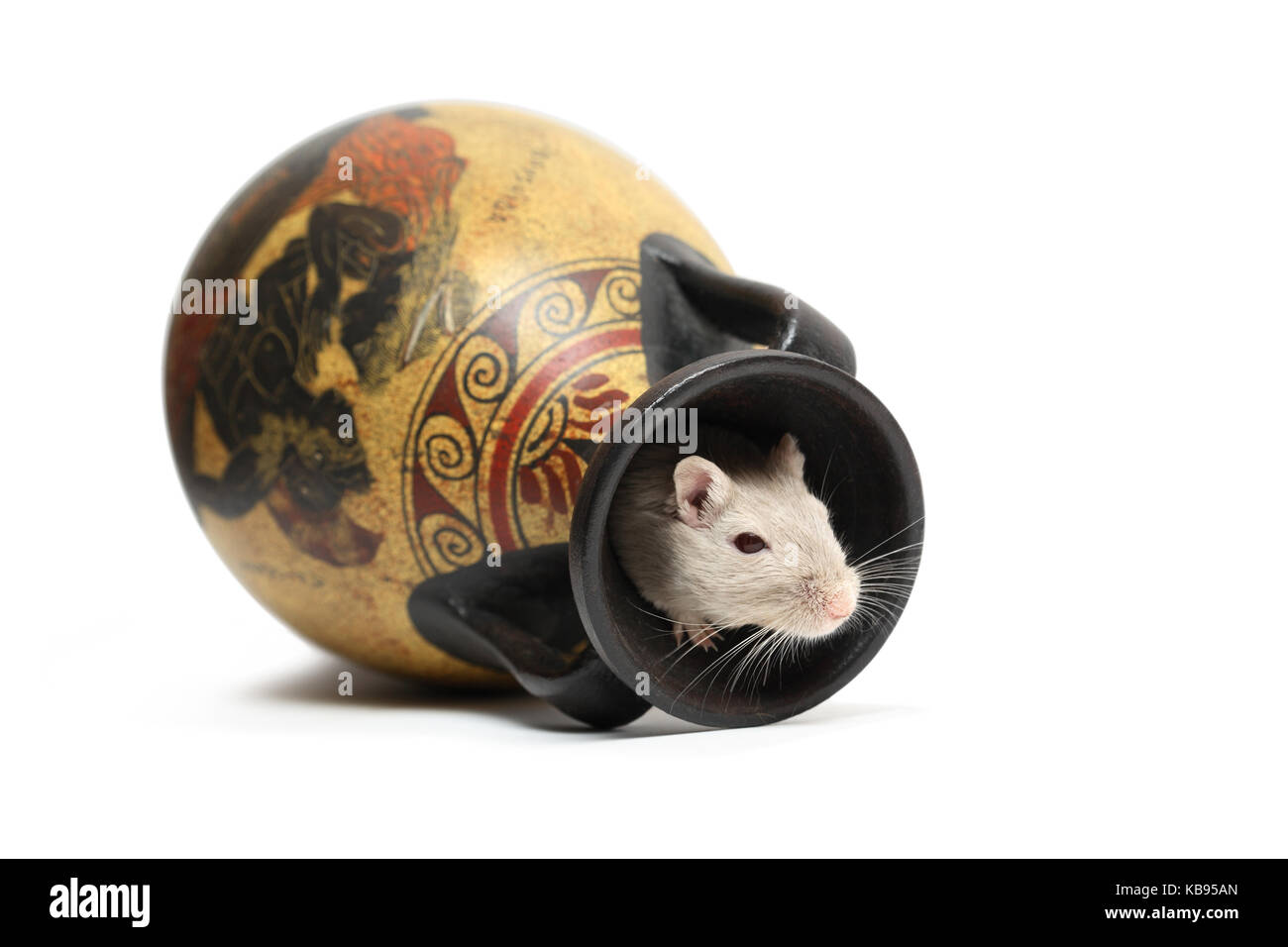 Real gray mouse inside ancient vase. Isolated on white background Stock ...