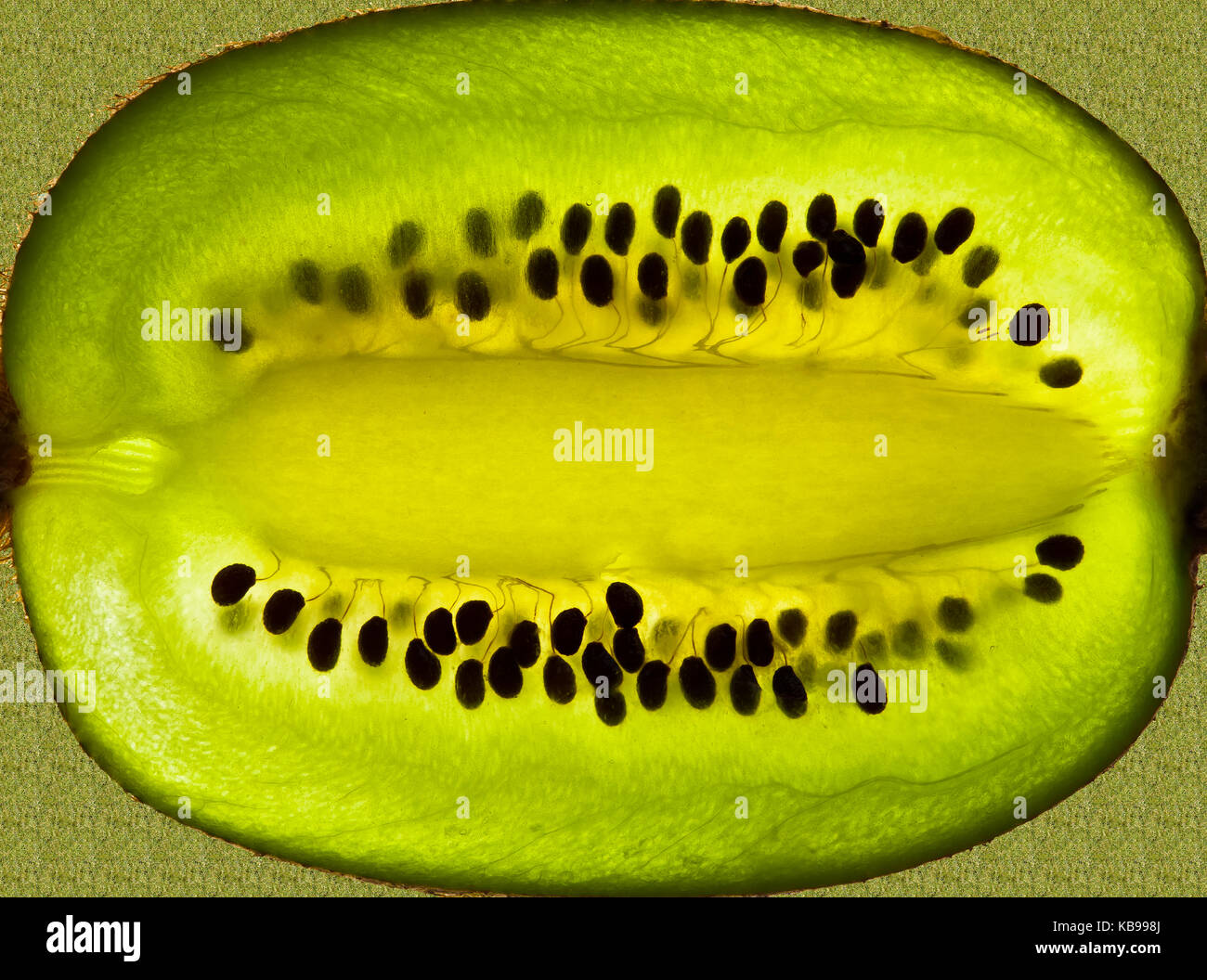 backlit closeup of a kiwi fruit with seeds and rind cut horizontally ...