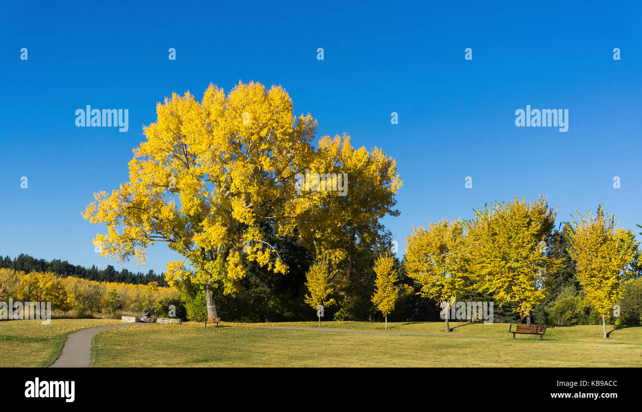 Baker park hi-res stock photography and images - Alamy