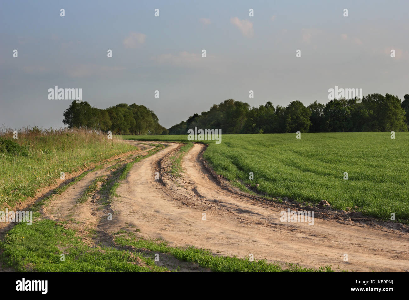 Spring farm road along the field photo Stock Photo - Alamy