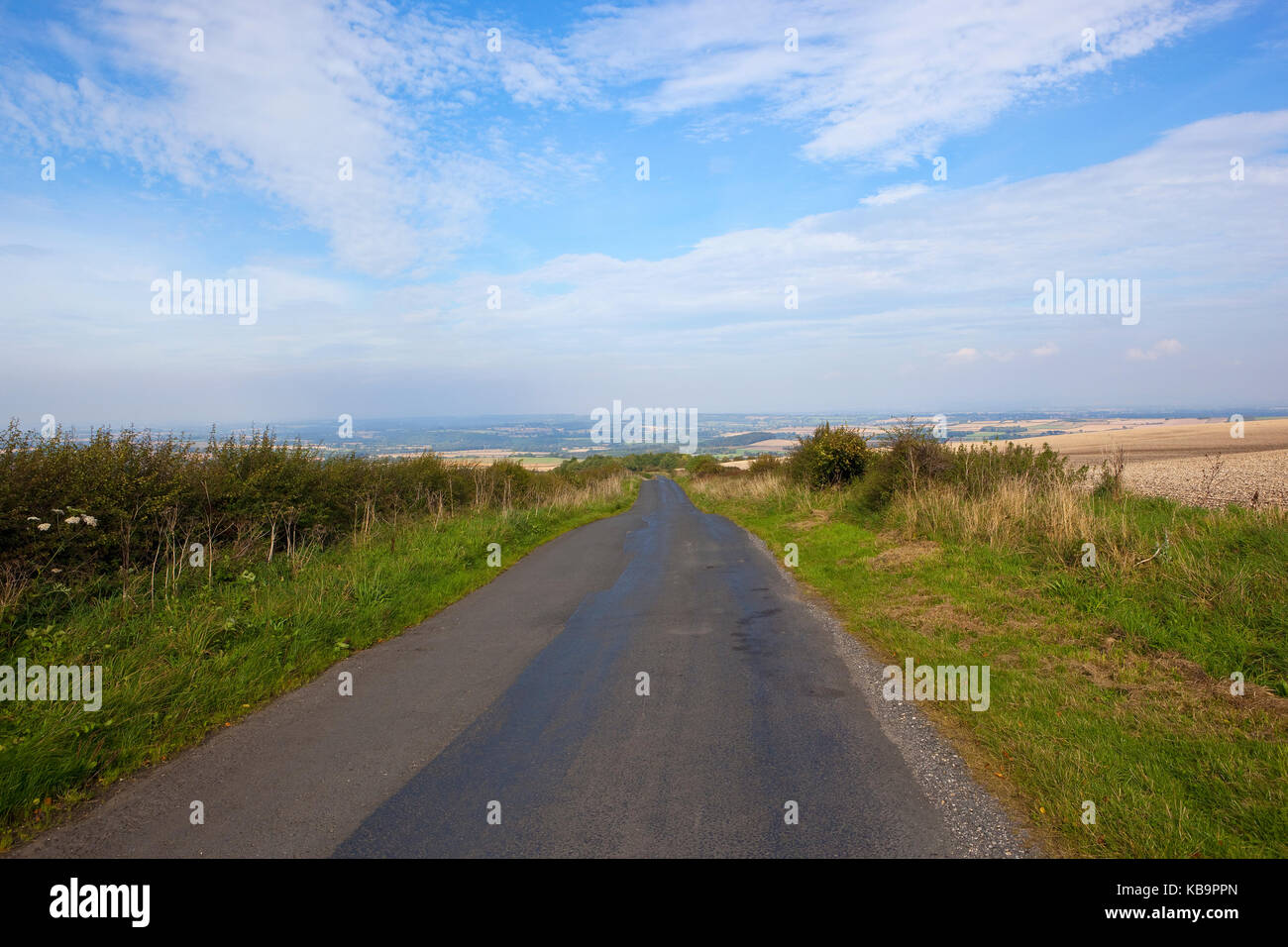 a small country road with scenery in the yorkshire wolds and hedgerows ...