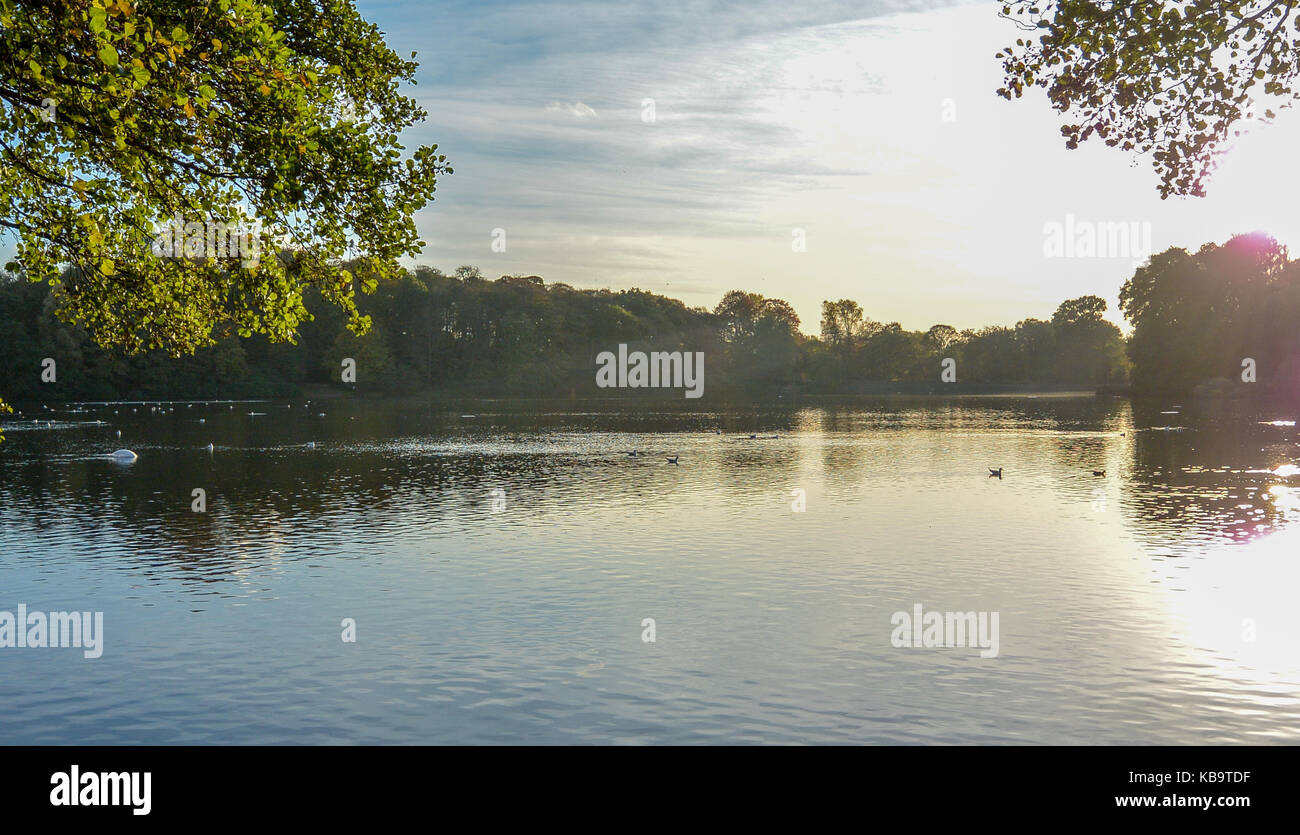 Lake in countryside parkland, England Stock Photo - Alamy