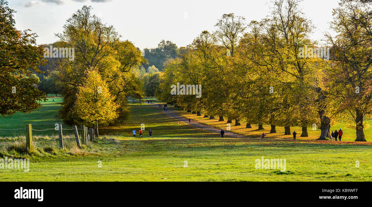 Nottingham landscape hi-res stock photography and images - Alamy