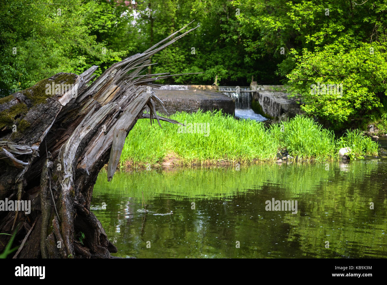 Small river Grabia in central Poland Stock Photo - Alamy
