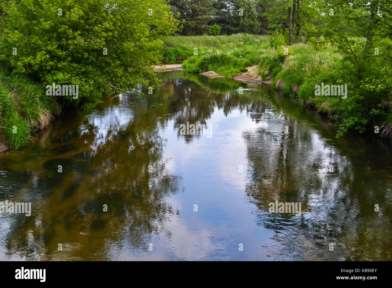Small river Grabia in central Poland Stock Photo - Alamy