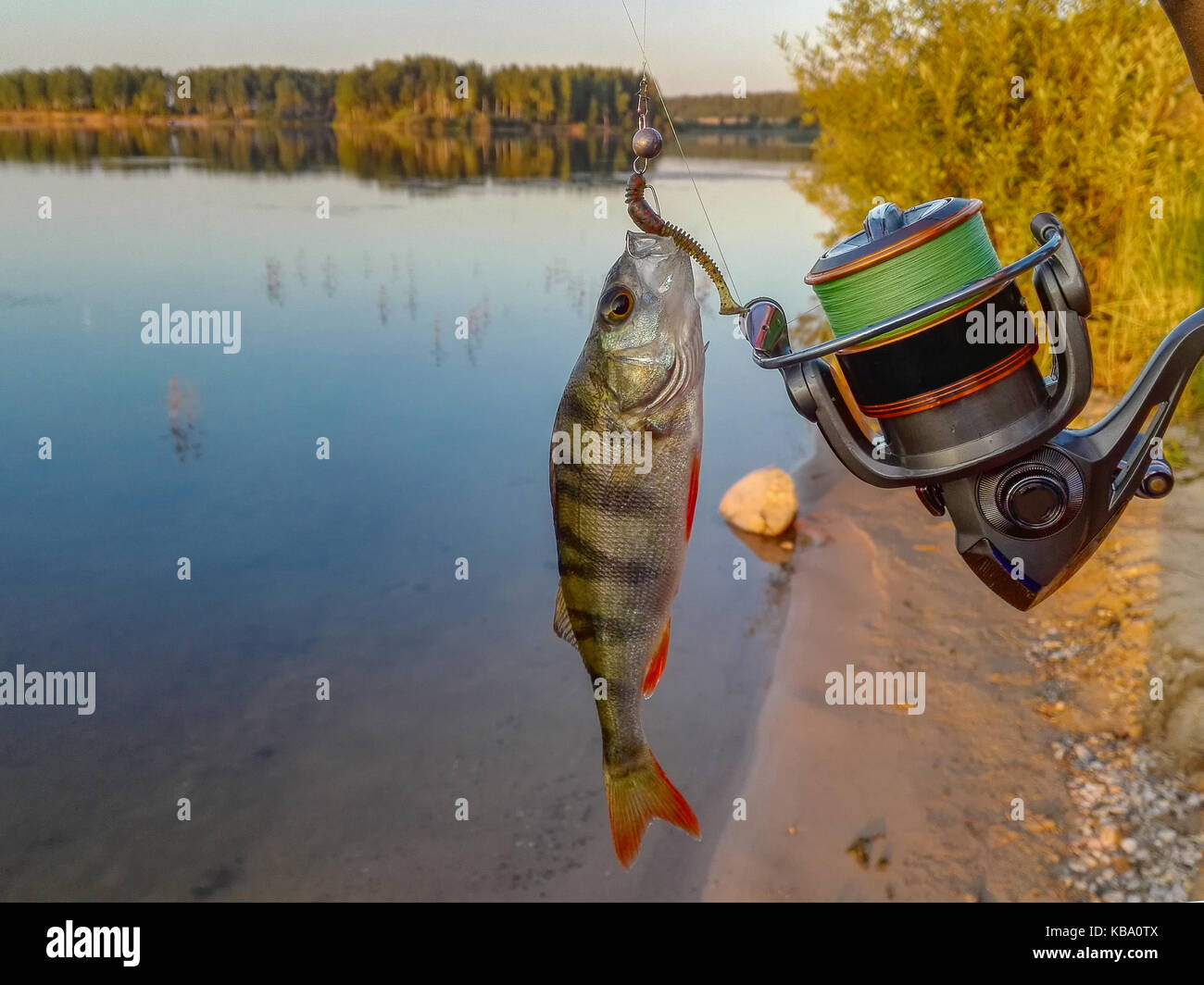 Spinning Fish High Resolution Stock Photography and Images - Alamy