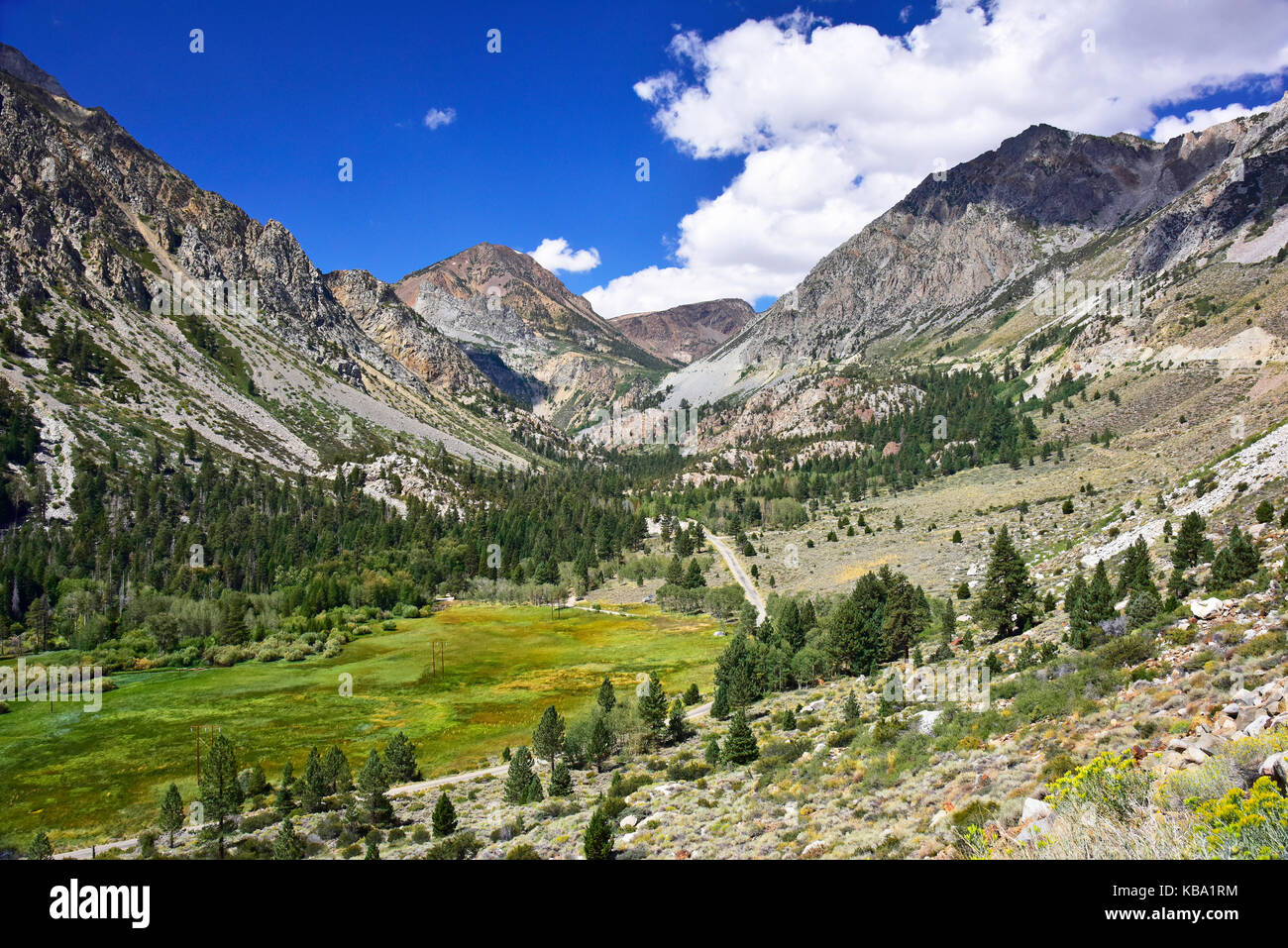 Tioga road hi-res stock photography and images - Alamy
