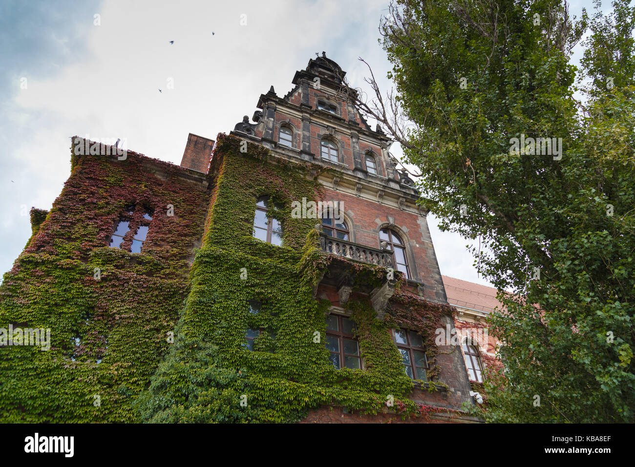 Wroclaw Museum High Resolution Stock Photography and Images - Alamy