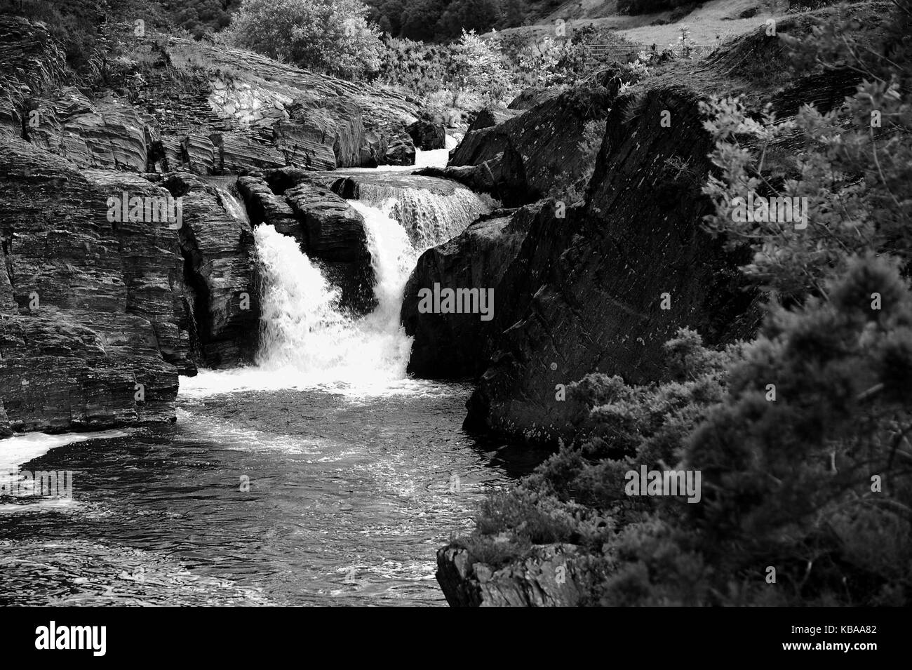 Afon rheidol hi-res stock photography and images - Alamy
