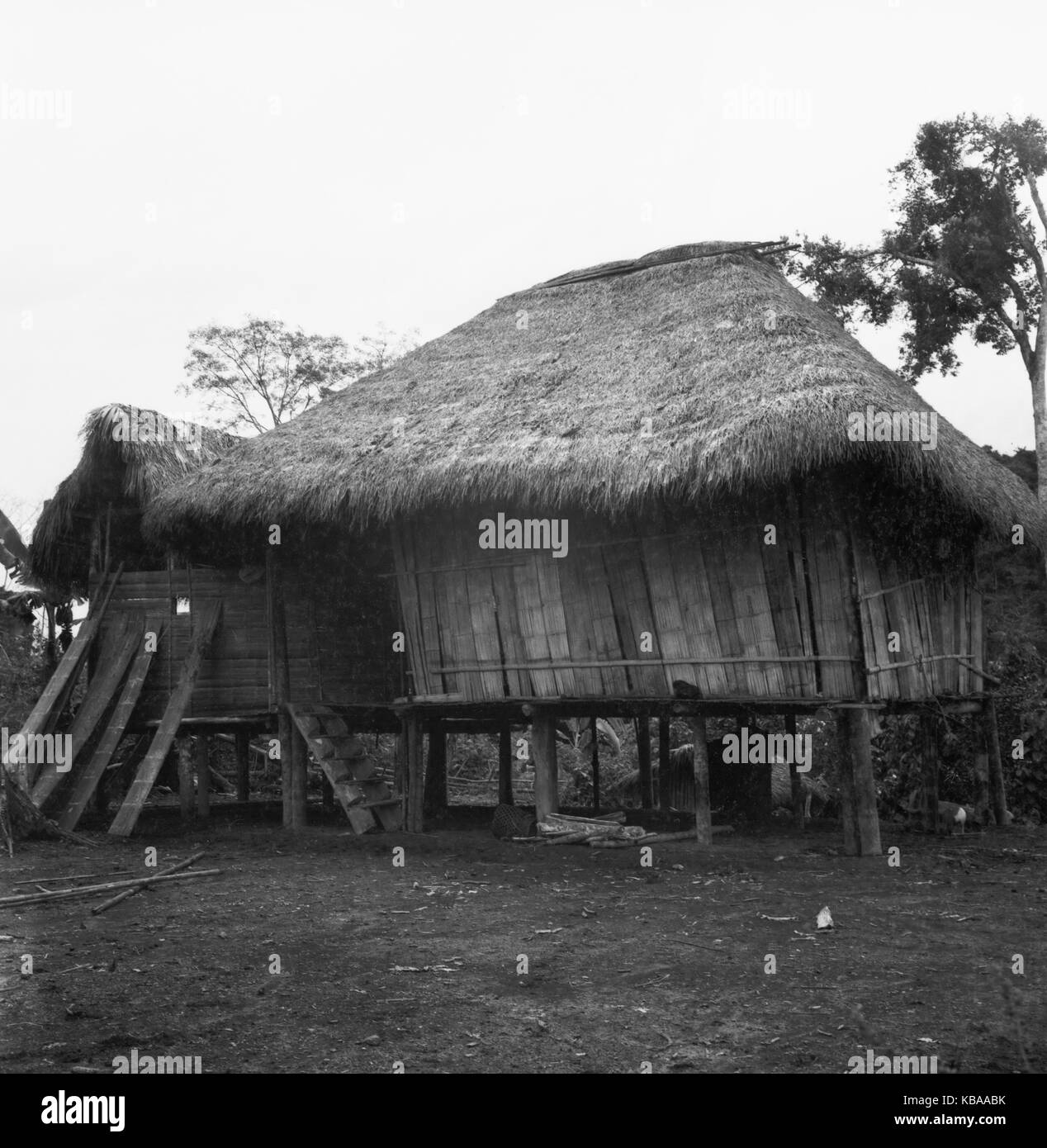 Hütte am Fluss Rio Napo naher Puerto Napo, Ecuador 1960er Jahre. Hut by ...