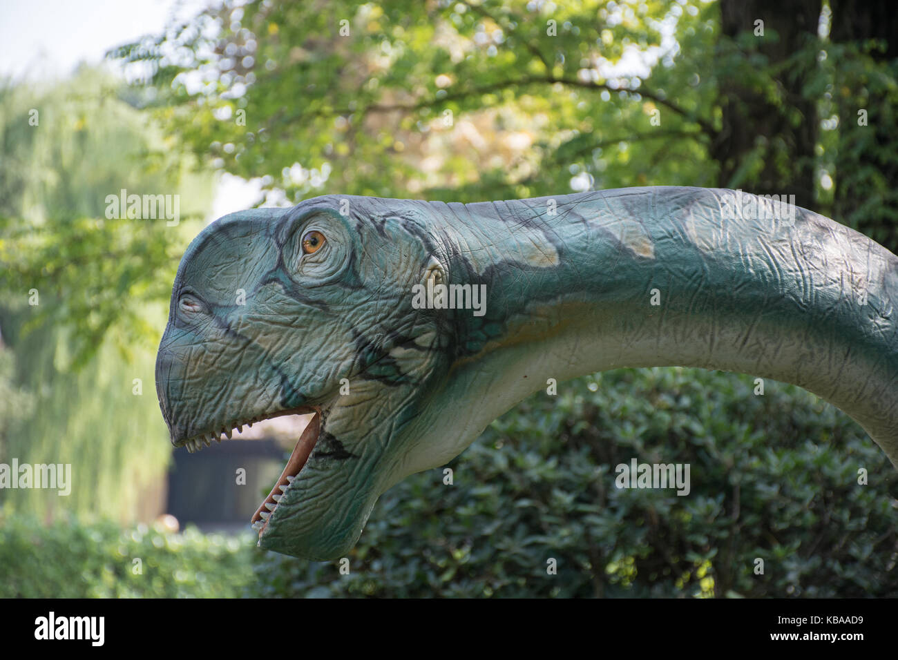 Brontosaurus teeth hi-res stock photography and images - Alamy