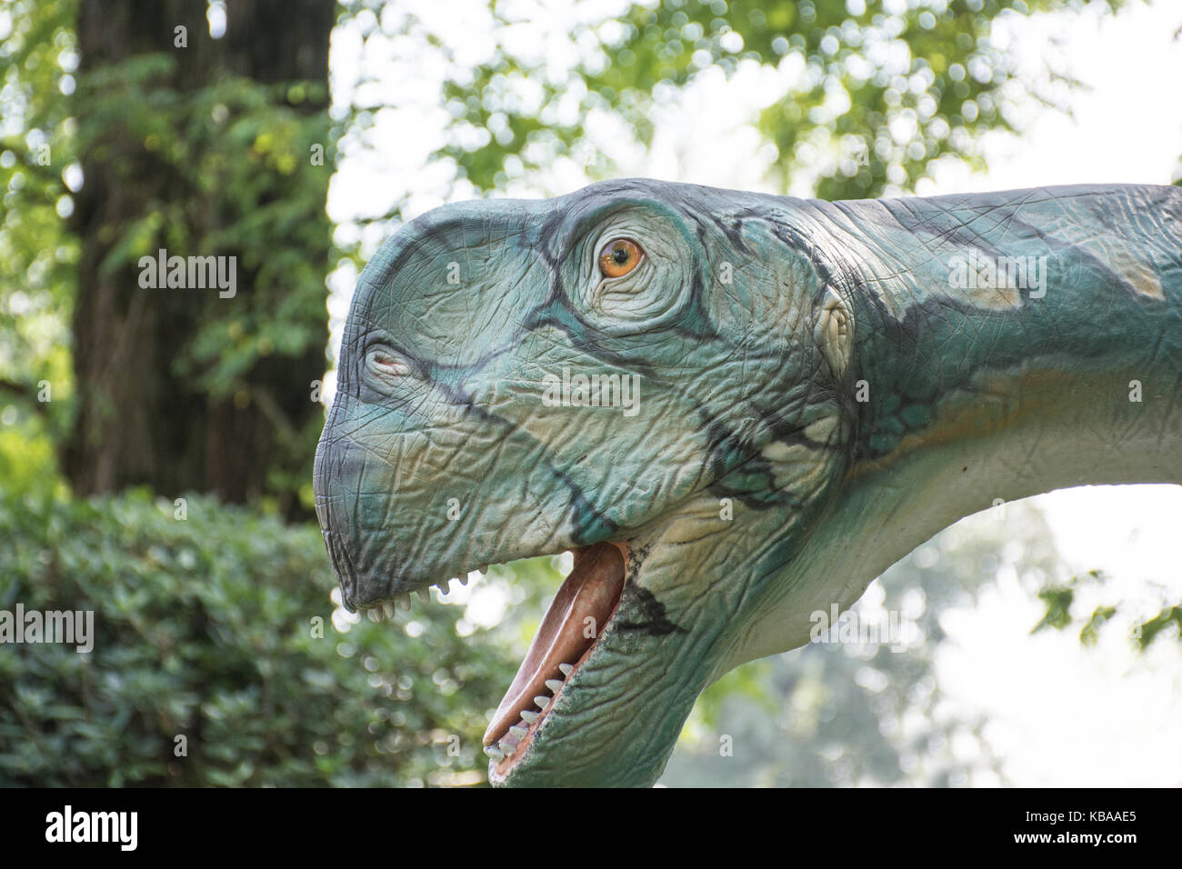 Brachiosaurus History High Resolution Stock Photography and Images - Alamy