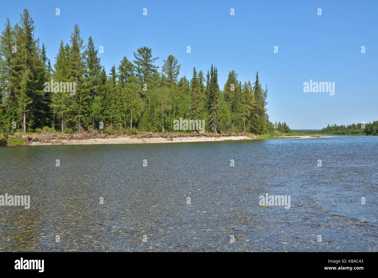 River in the Polar Urals. Summer water landscape of northern nature ...