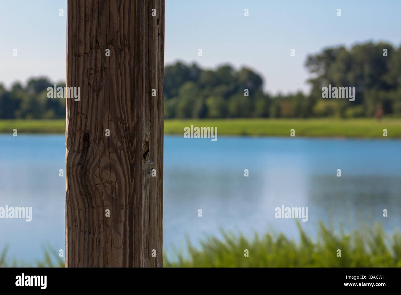 Beautiful back ground hi-res stock photography and images - Alamy