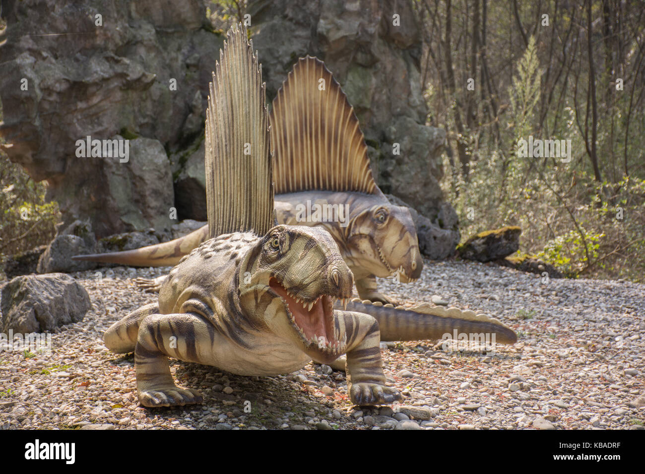 Dimetrodon Skeleton High Resolution Stock Photography and Images - Alamy