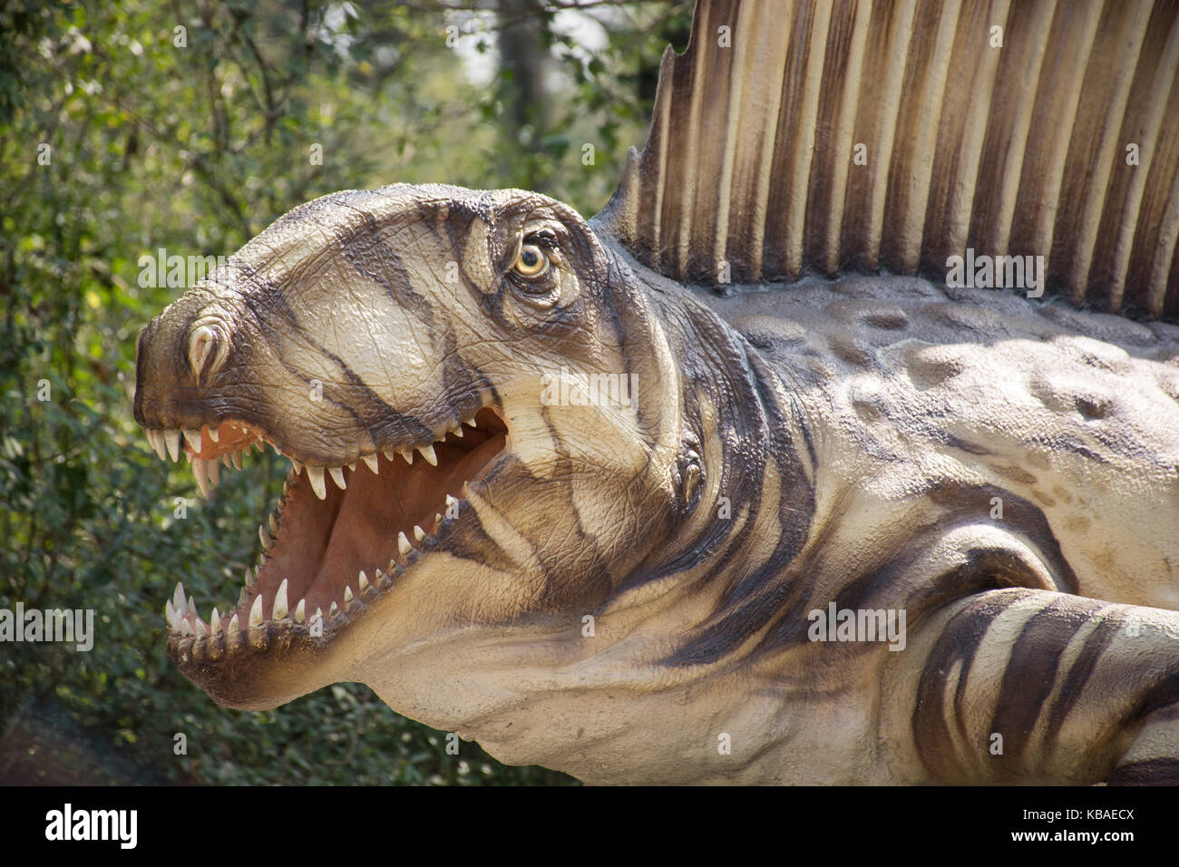 Strong lizard hi-res stock photography and images - Alamy