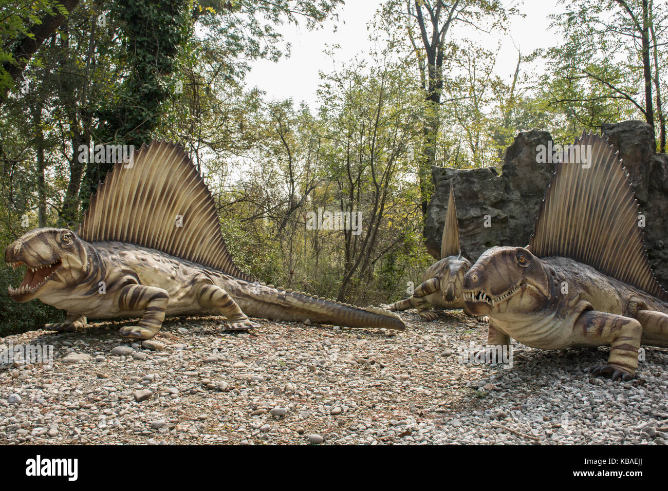 Dimetrodon Skeleton High Resolution Stock Photography and Images - Alamy