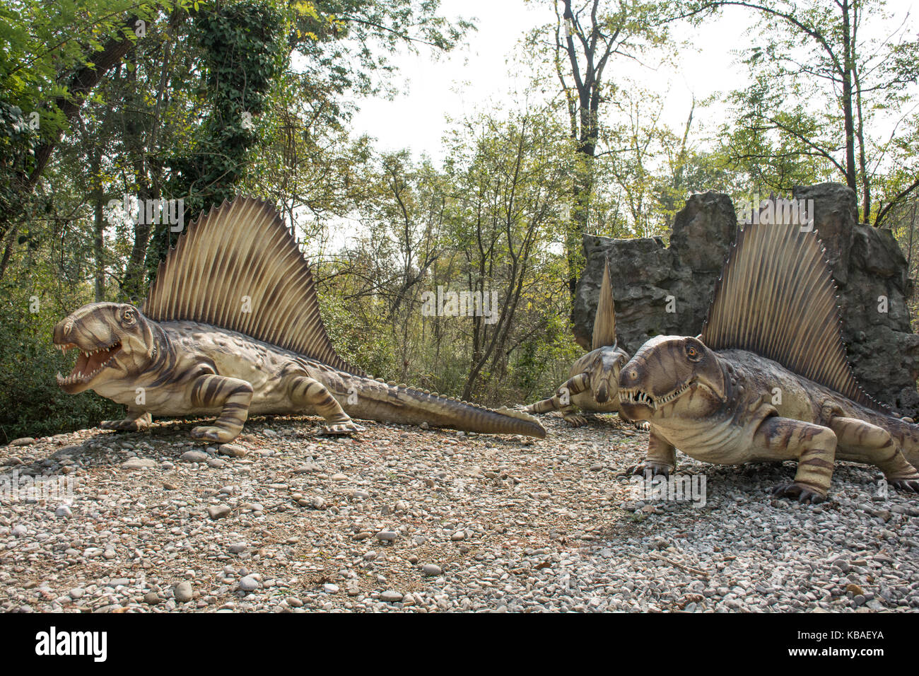 Dimetrodon skeleton hi-res stock photography and images - Alamy