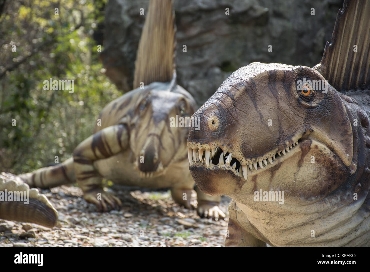 Dimetrodon skeleton hi-res stock photography and images - Alamy