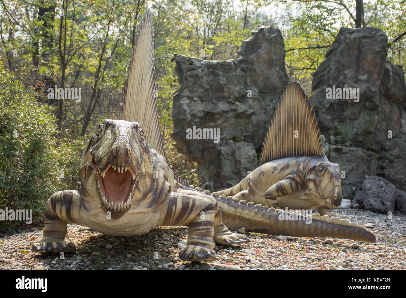 Dimetrodon skeleton hi-res stock photography and images - Alamy
