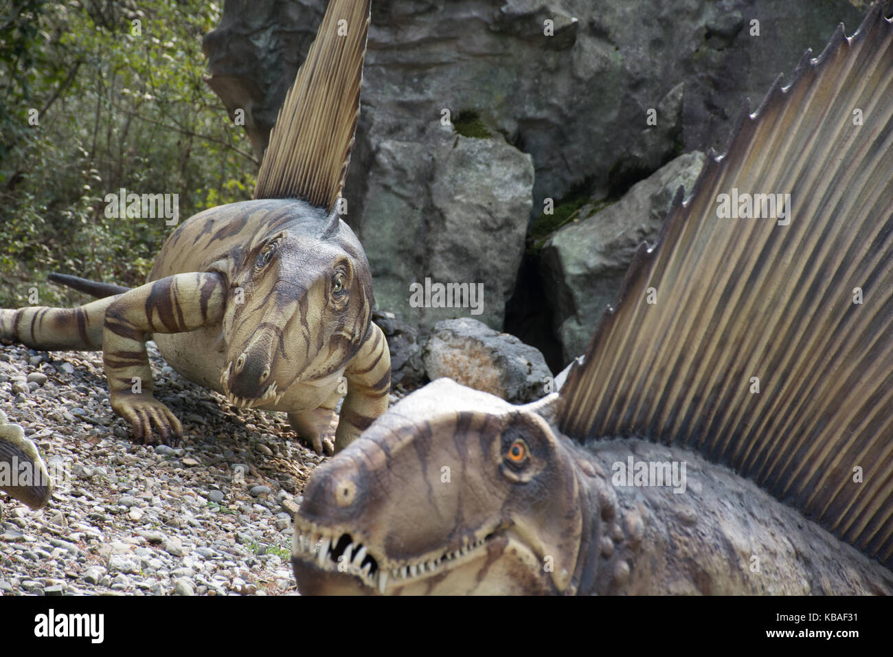 Dimetrodon skeleton hi-res stock photography and images - Alamy