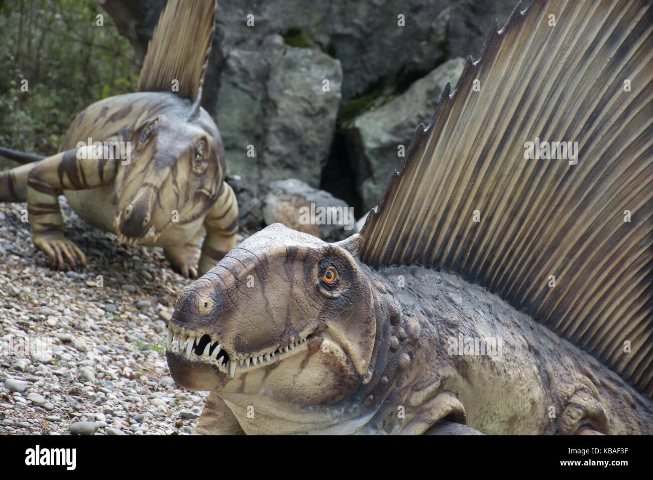 Dimetrodon dinosaur hi-res stock photography and images - Alamy