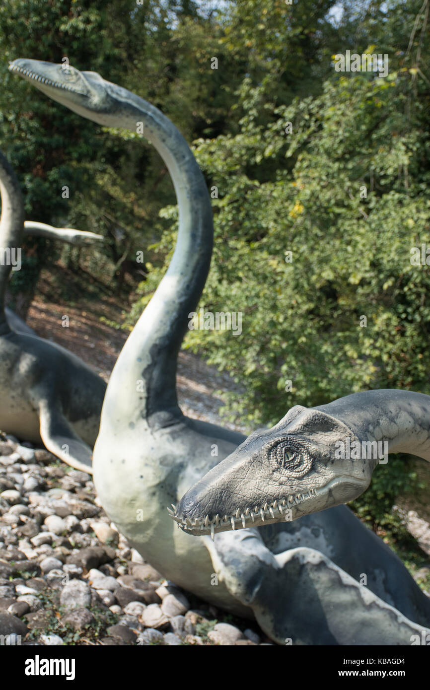 Large plesiosaur hi-res stock photography and images - Alamy