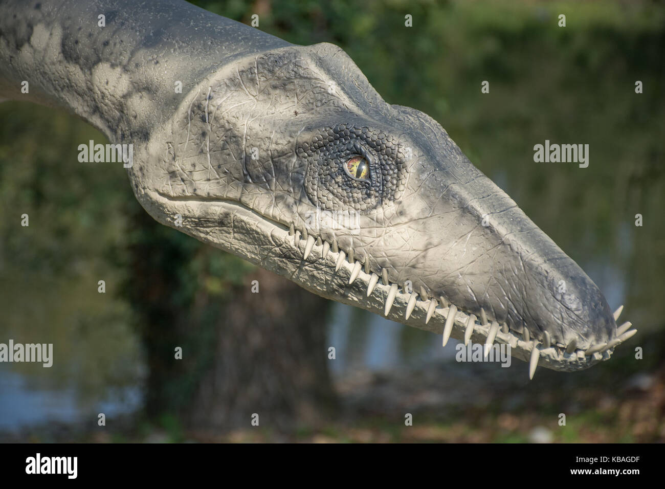 Large plesiosaur hi-res stock photography and images - Alamy