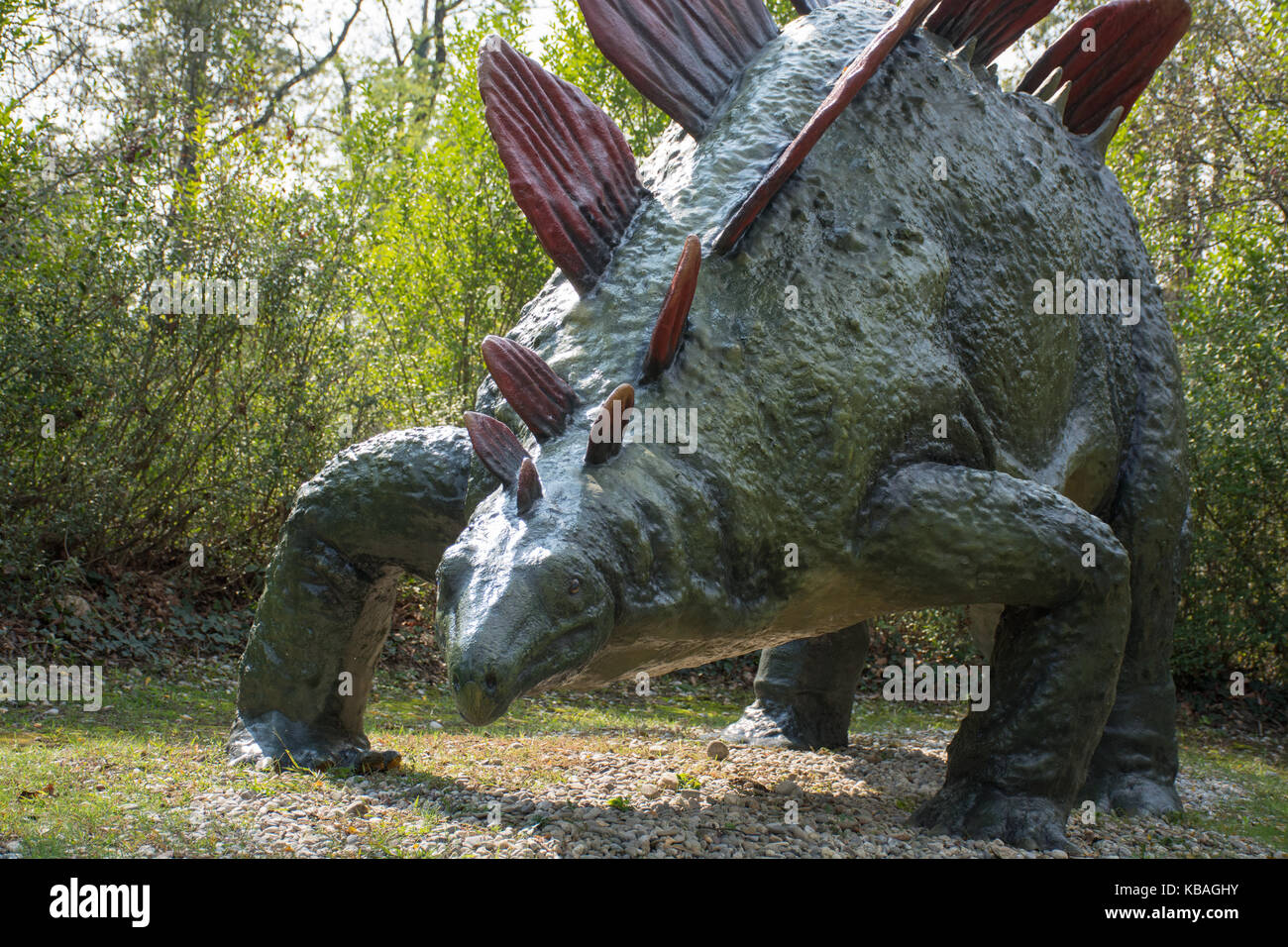 Stegosaurus Model High Resolution Stock Photography and Images - Alamy