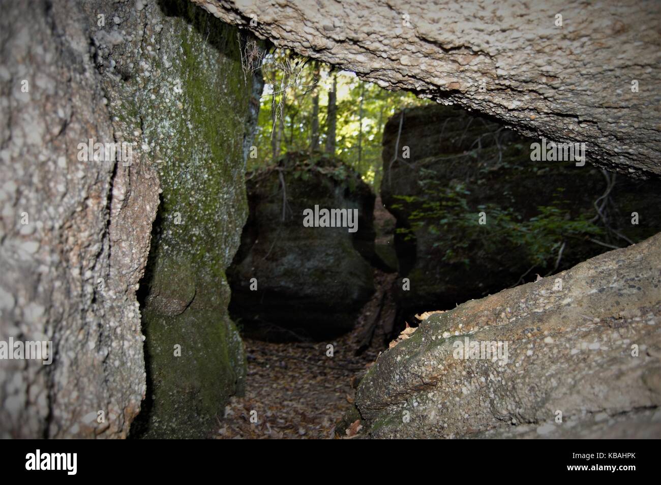 Wandering in the Forest visiting the Caves Stock Photo - Alamy