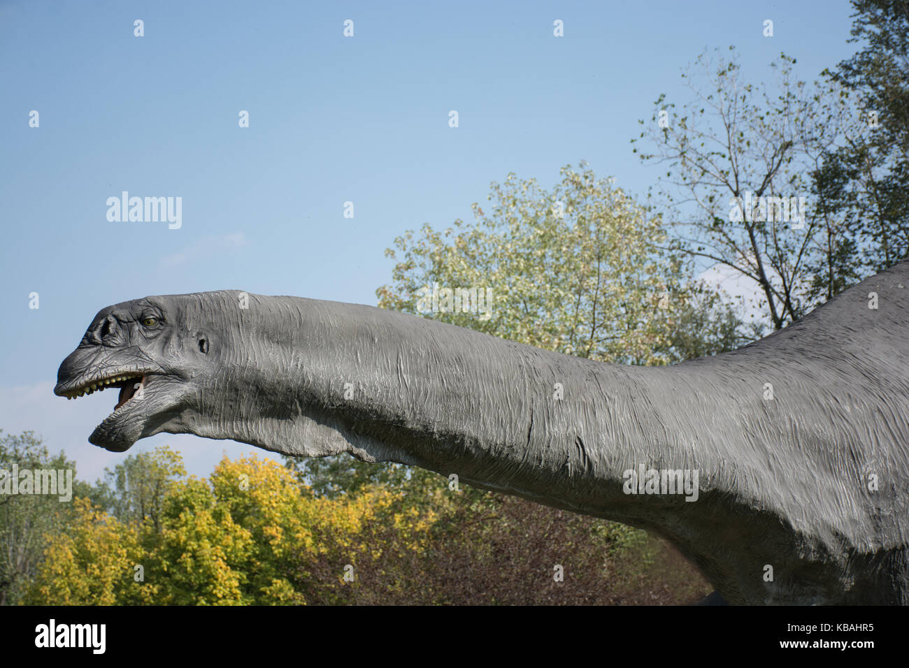 Brontosaurus Stock Photo - Alamy
