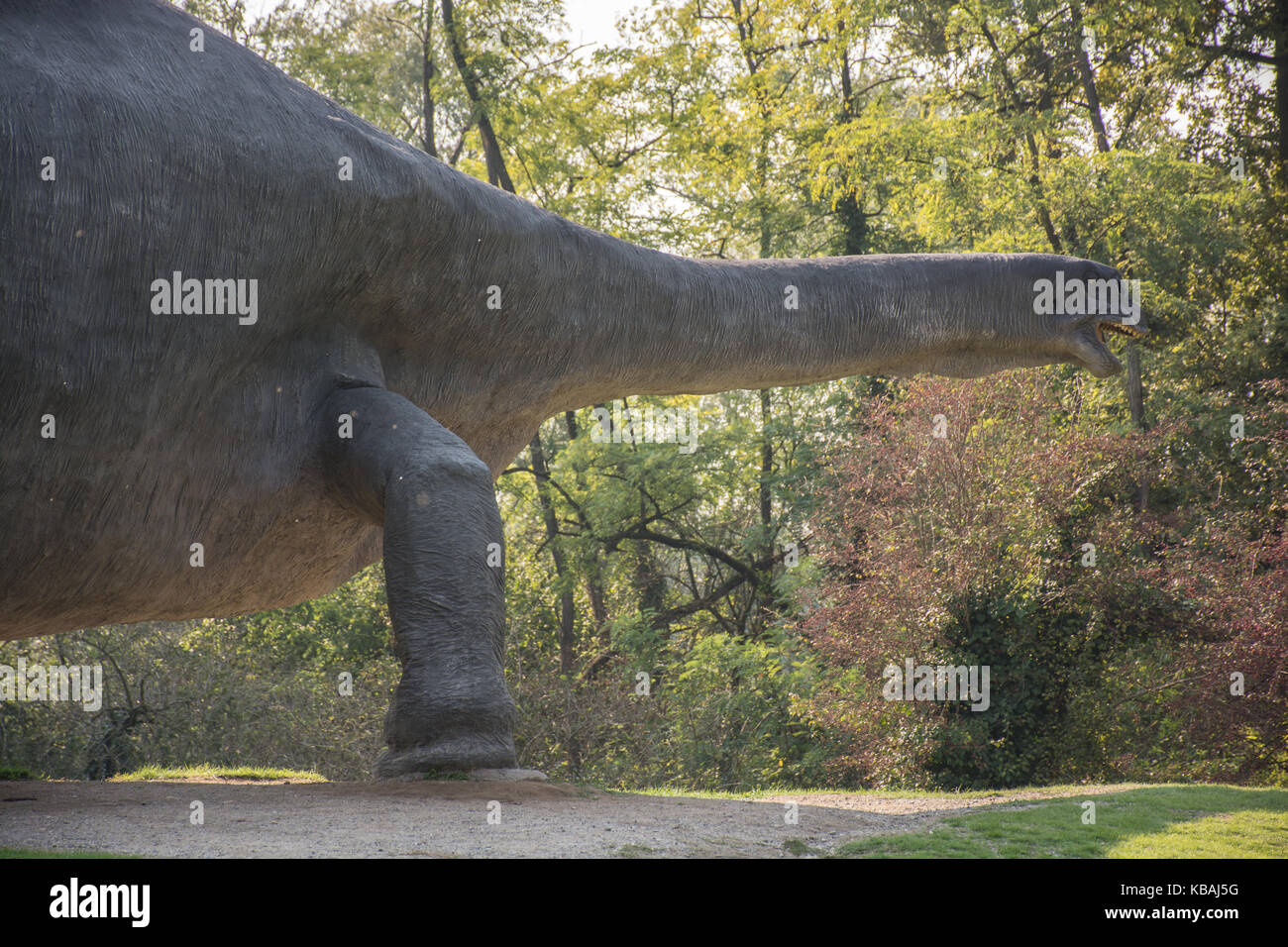 Brontosaur hi-res stock photography and images - Alamy