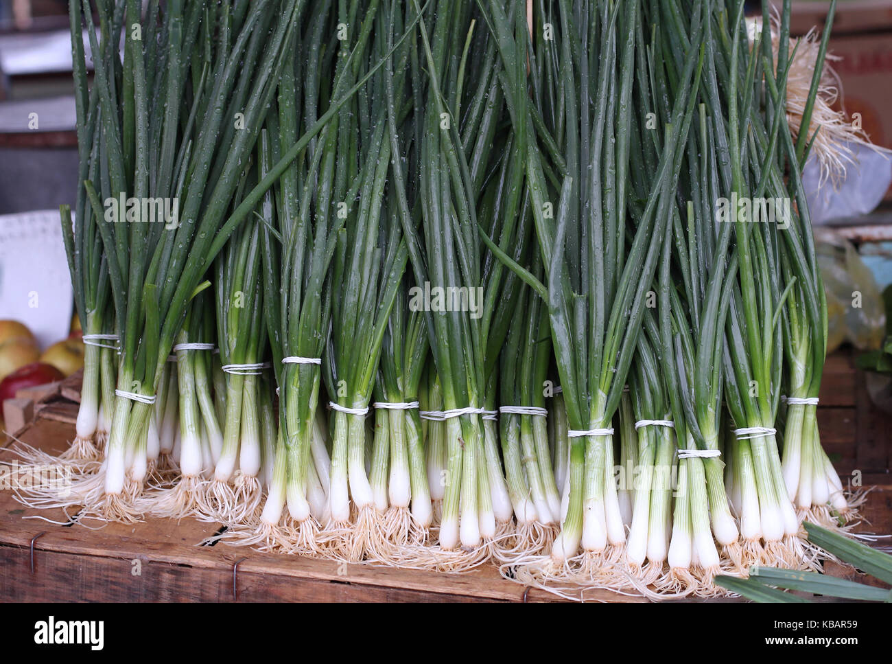 Fresh organic spring onion vegetable on wooden table Stock Photo - Alamy
