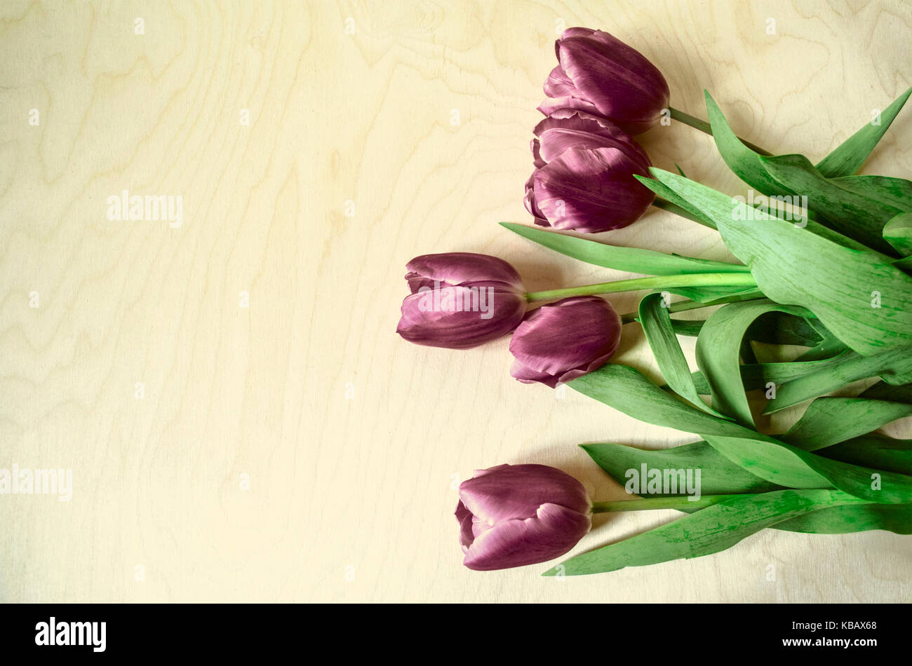Vertical border of dark purples tulips on background light plywood ...
