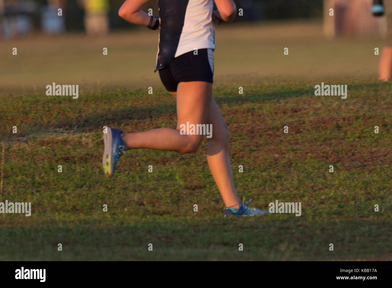 Runnning on grass hi-res stock photography and images - Alamy