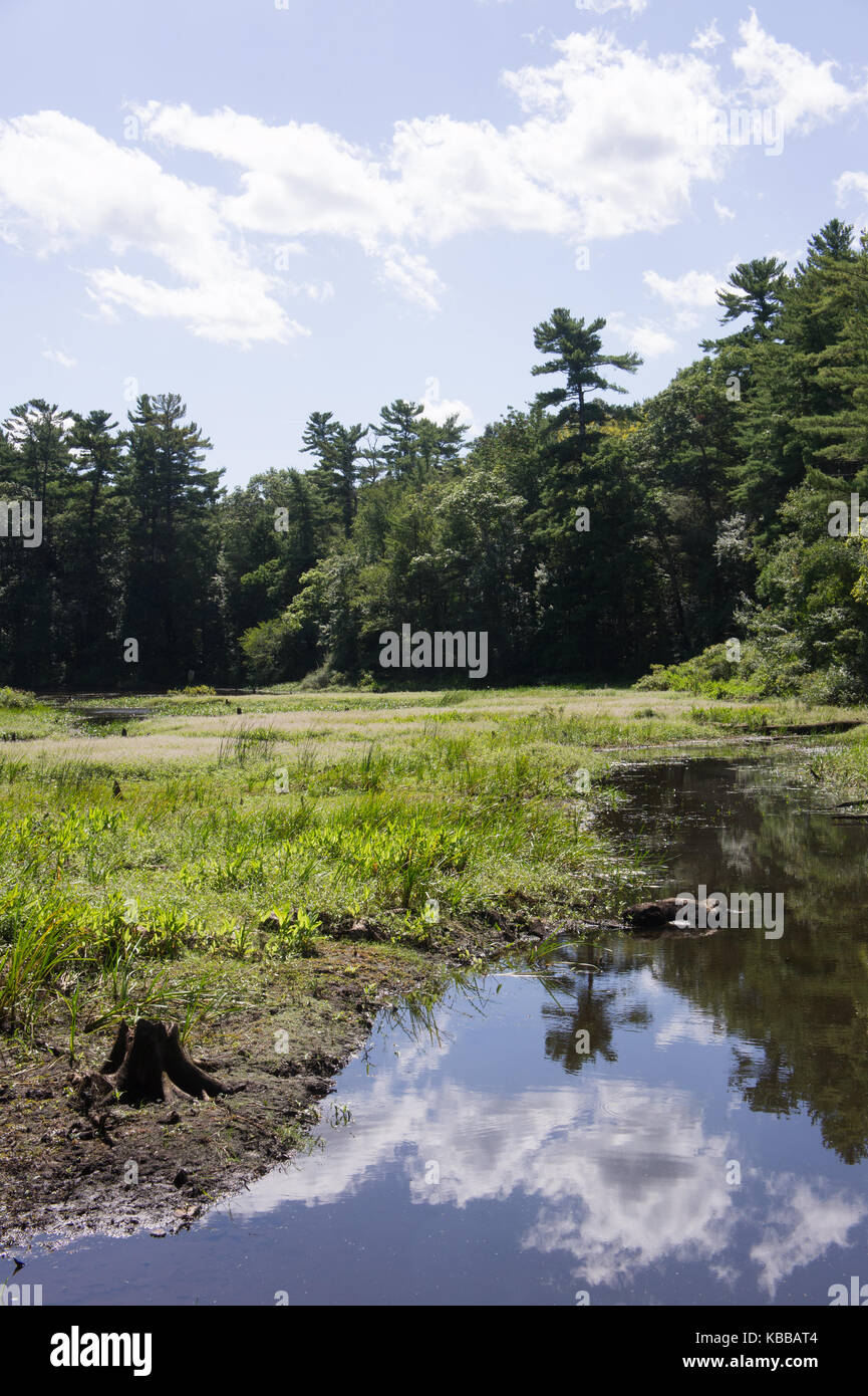 Pond, Norris Park, Norwell MA Stock Photo - Alamy