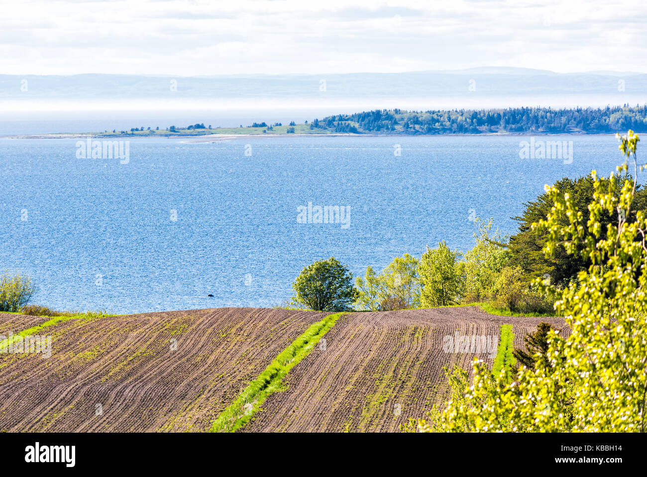 Quebec farm landscape with brown plowed land field furrows rows in ...