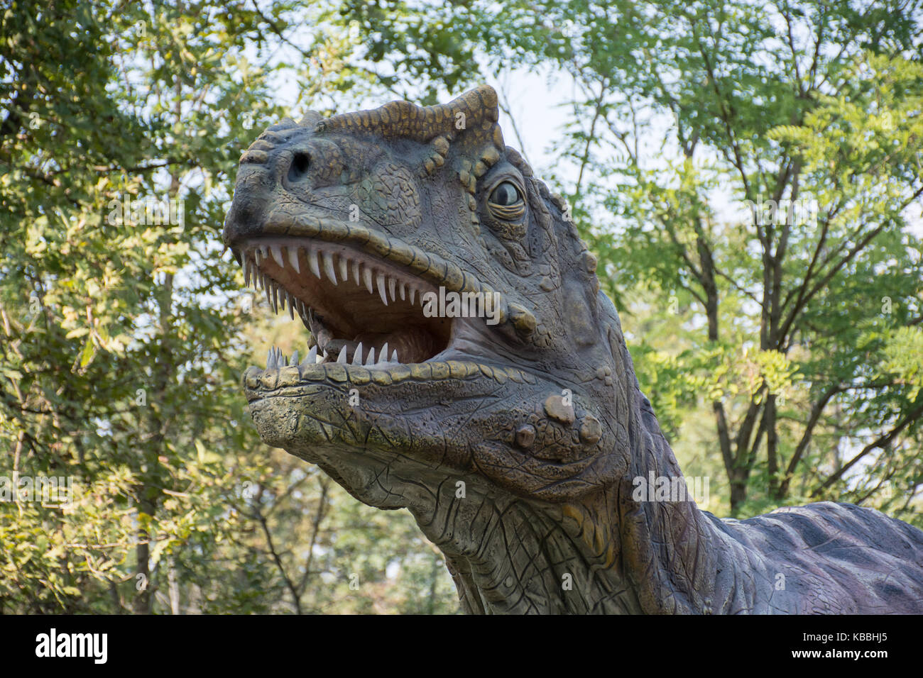 Saltriosaur hi-res stock photography and images - Alamy