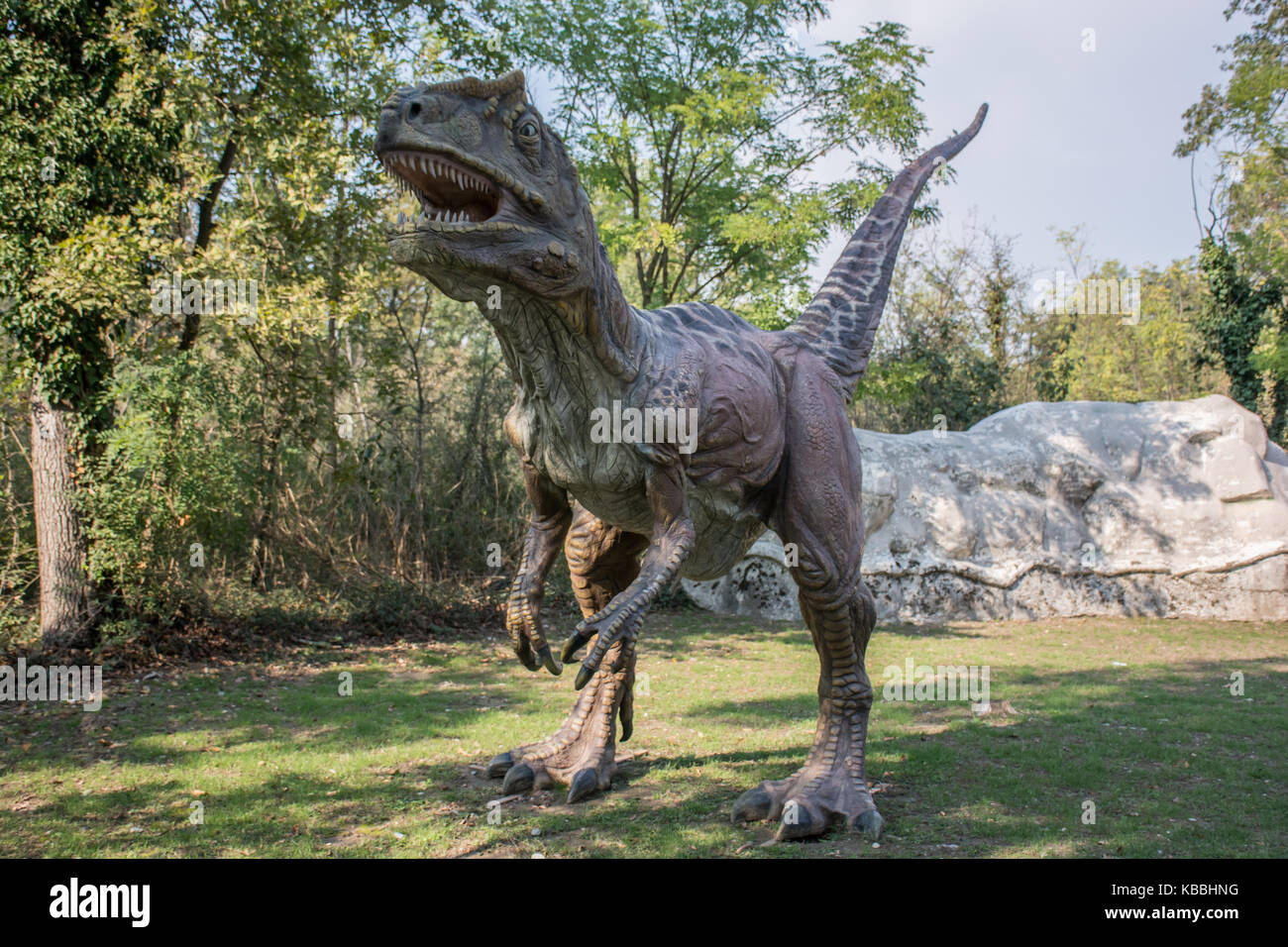 Saltriosaurus hi-res stock photography and images - Alamy